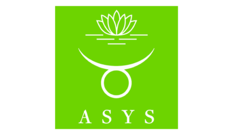 ASYS Automatic Systems Co., Ltd.